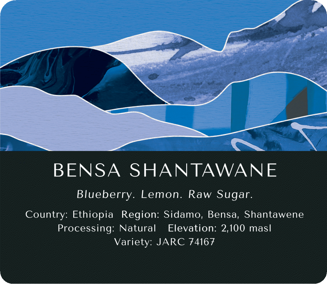 Bensa Shantawane (Natural) - Ethiopia - Monastery Coffee