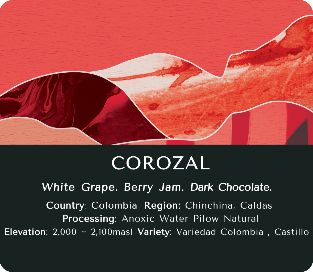 Corozal (Anoxic Natural) - Colombia - Monastery Coffee