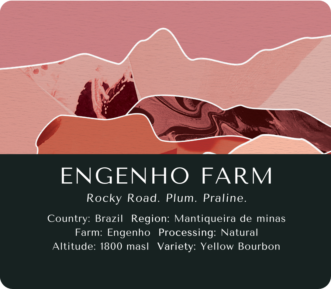 Engenho Farm (Natural)- Brazil - Monastery Coffee