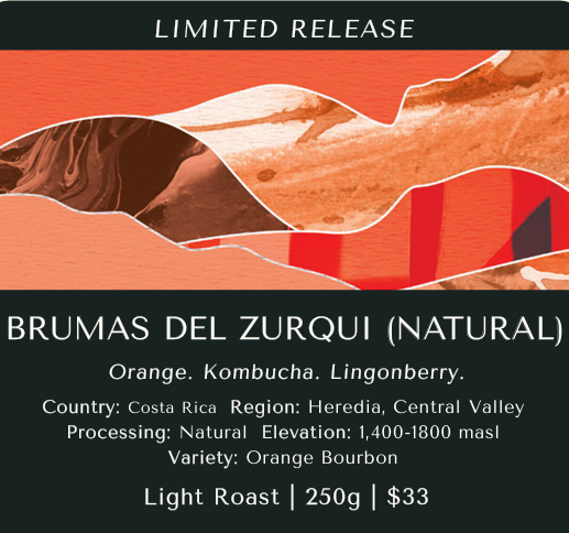 Brumas del Zurqui (Natural) - Costa Rica (Limited Release) - Monastery ...