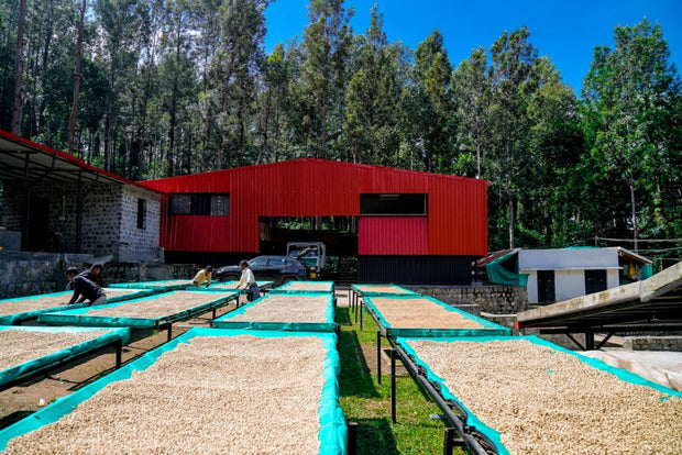 Locally Roasted | Ethically Traded | Single Origin Coffee Beans ...